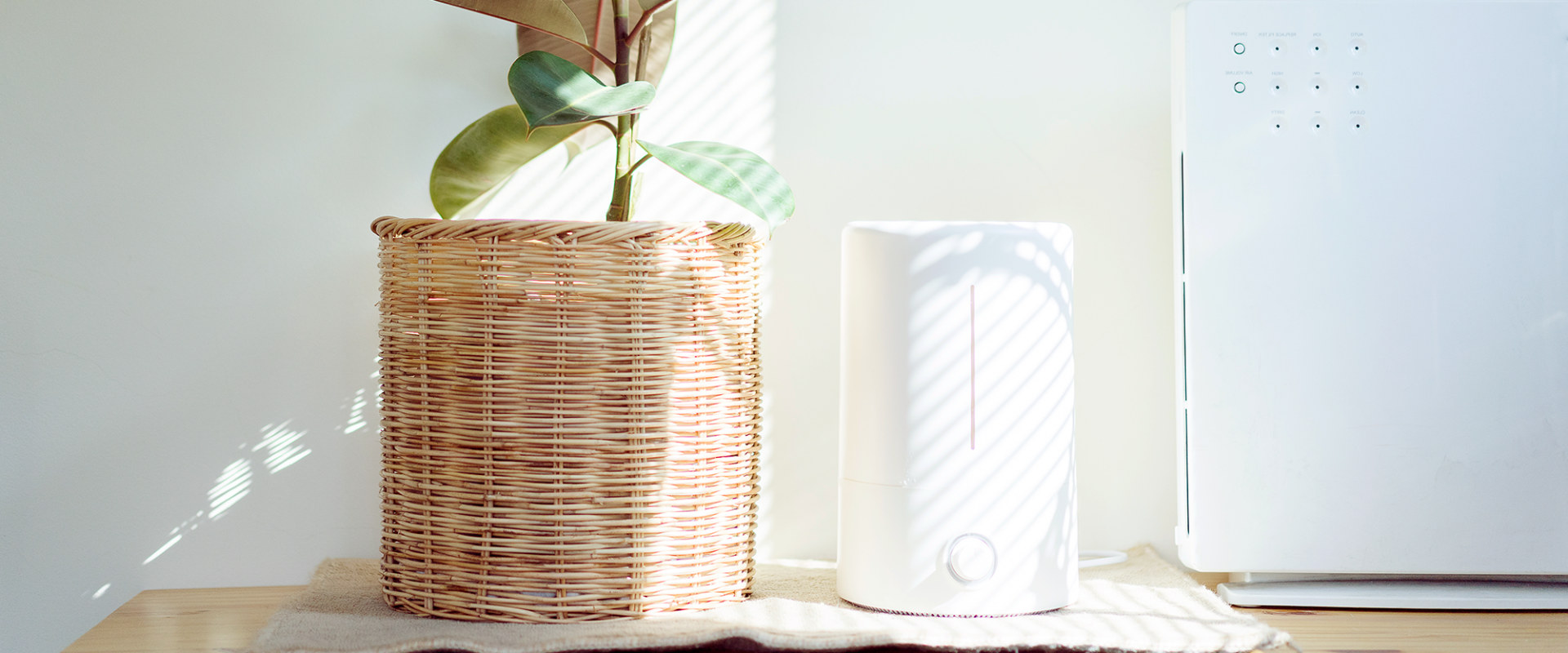 Do Air Purifiers Really Make a Difference?